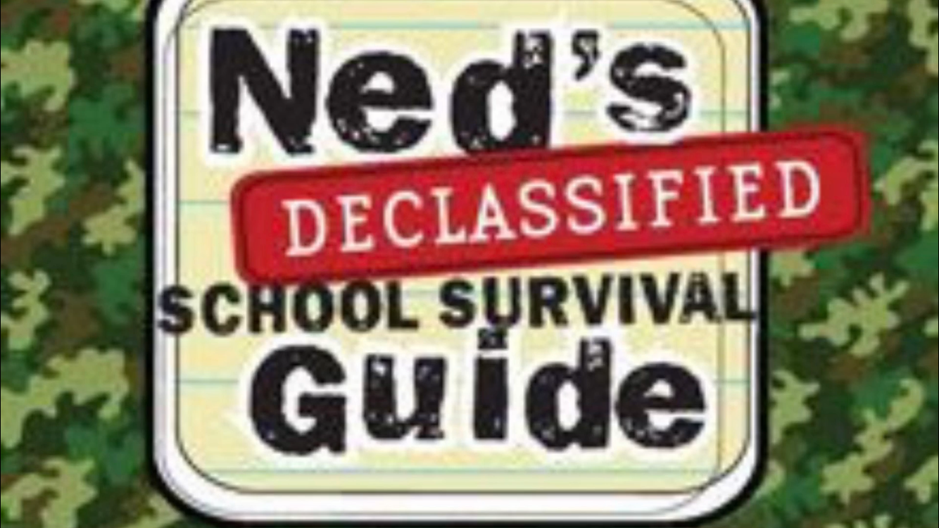 Ned’s Declassified School Survival Guide – The Pitch